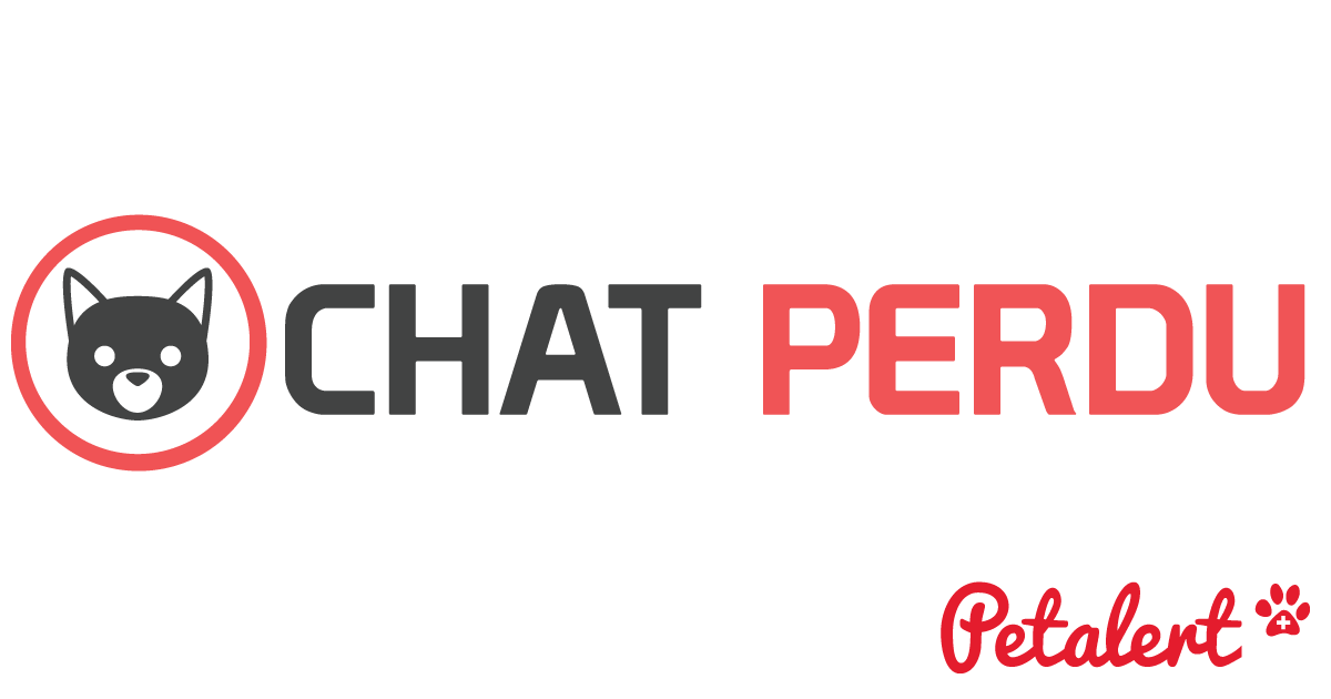 Solution de recherche de chats perdus et chats trouvés